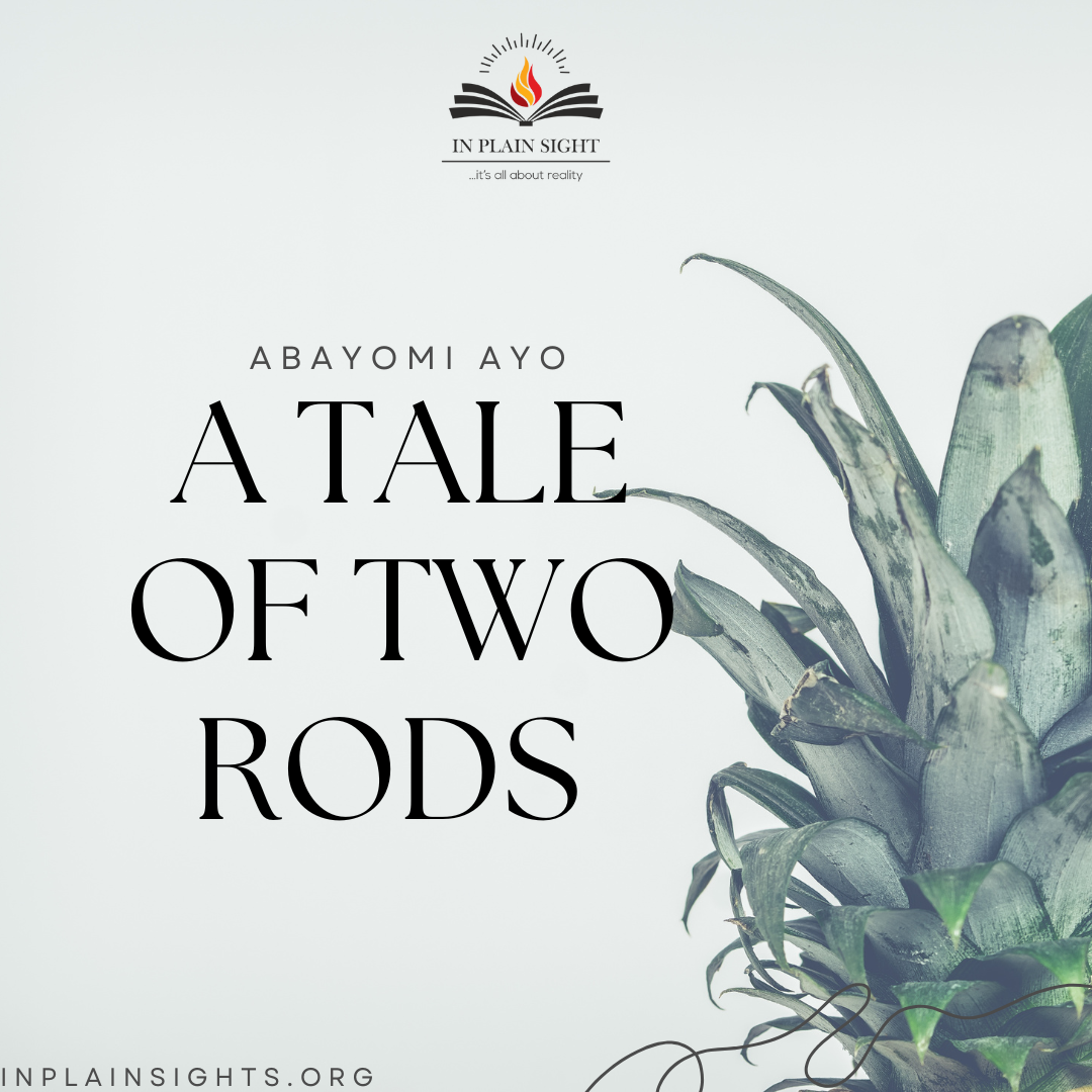 A Tale of Two Rods – In Plain Sight